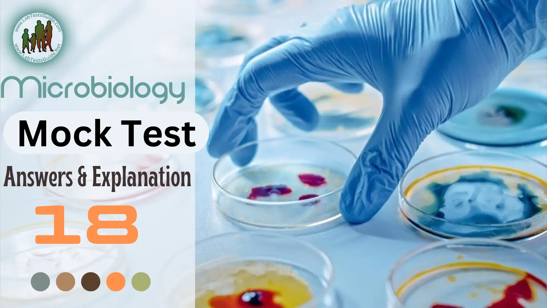 Microbiology MCQs Mock Test - Chapter 18 | Lab Tests Guide