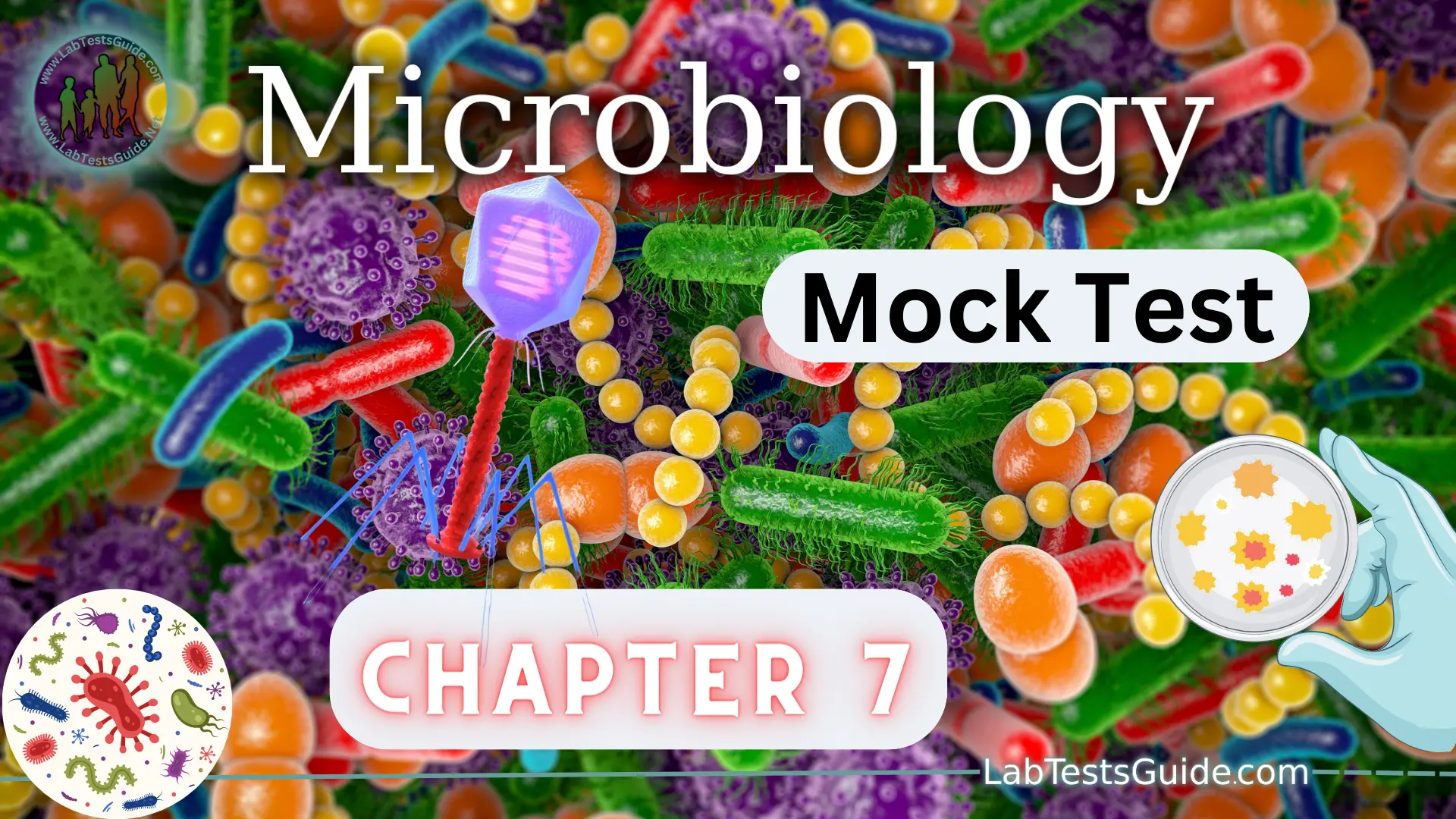 Microbiology MCQs Mock Test - Chapter 7 | Lab Tests Guide