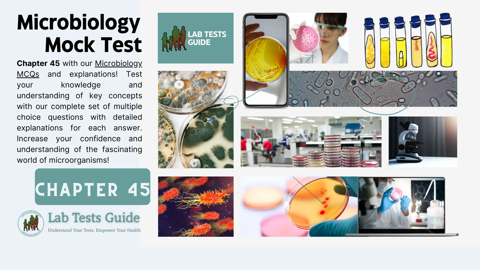 Microbiology MCQs Mock Test - Chapter 45 | Lab Tests Guide