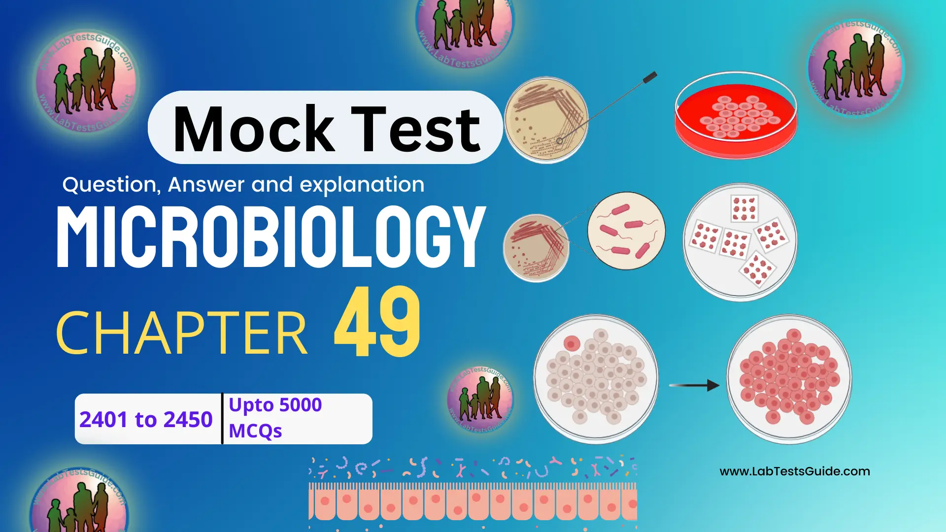Microbiology MCQs Mock Test - Chapter 49 | Lab Tests Guide