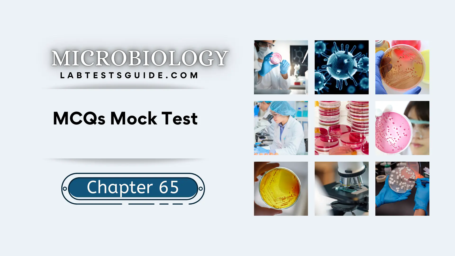 Microbiology MCQs Mock Test - Chapter 65 | Lab Tests Guide